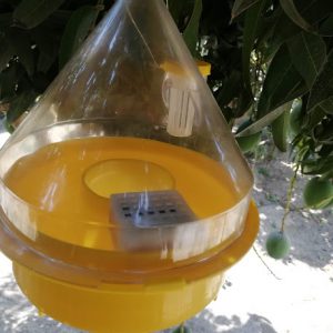 TRAMPAS JACKSON – Feta Servicios